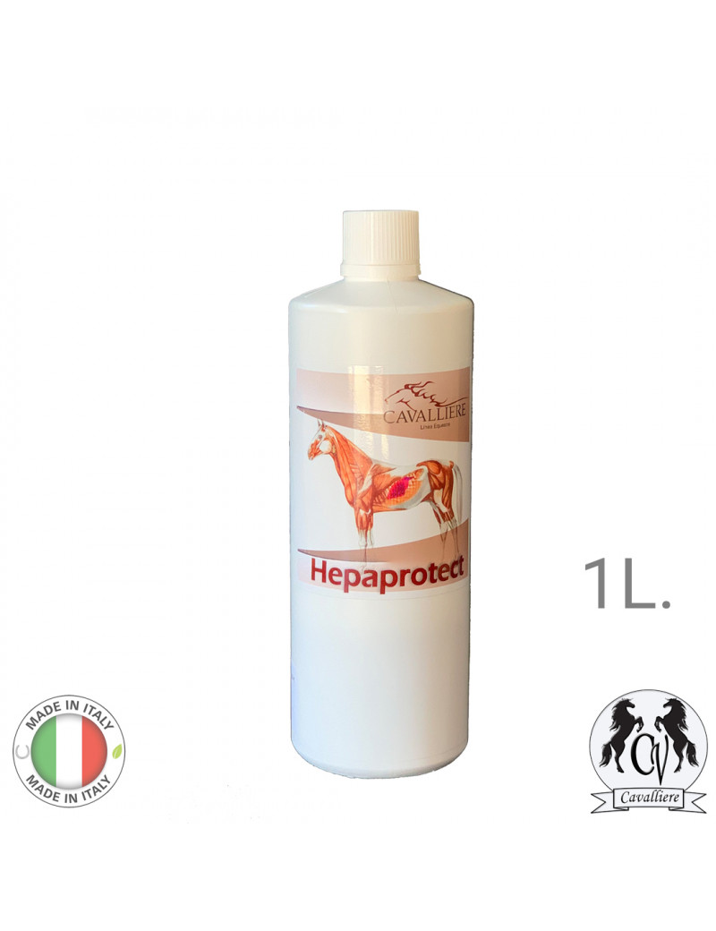 VIT. HEPAPROTECT 1000ML