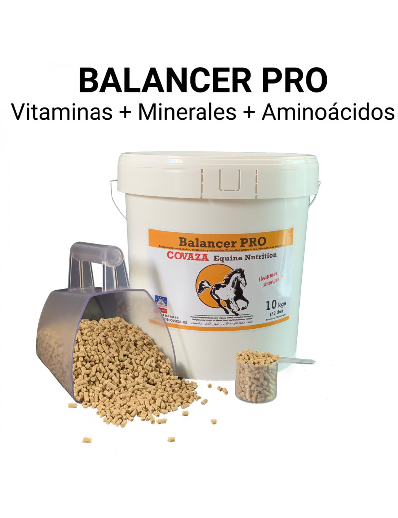 BALANCER PRO 10KG