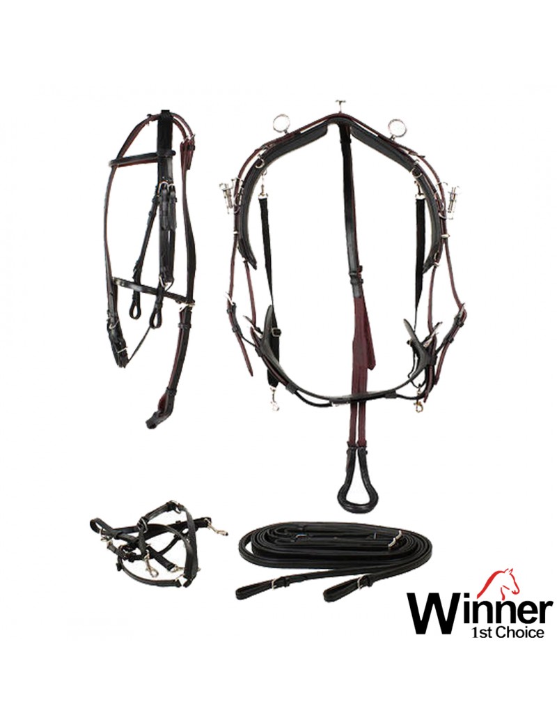 GUARNICION COMPLETA TROTE PIEL QH WINNER